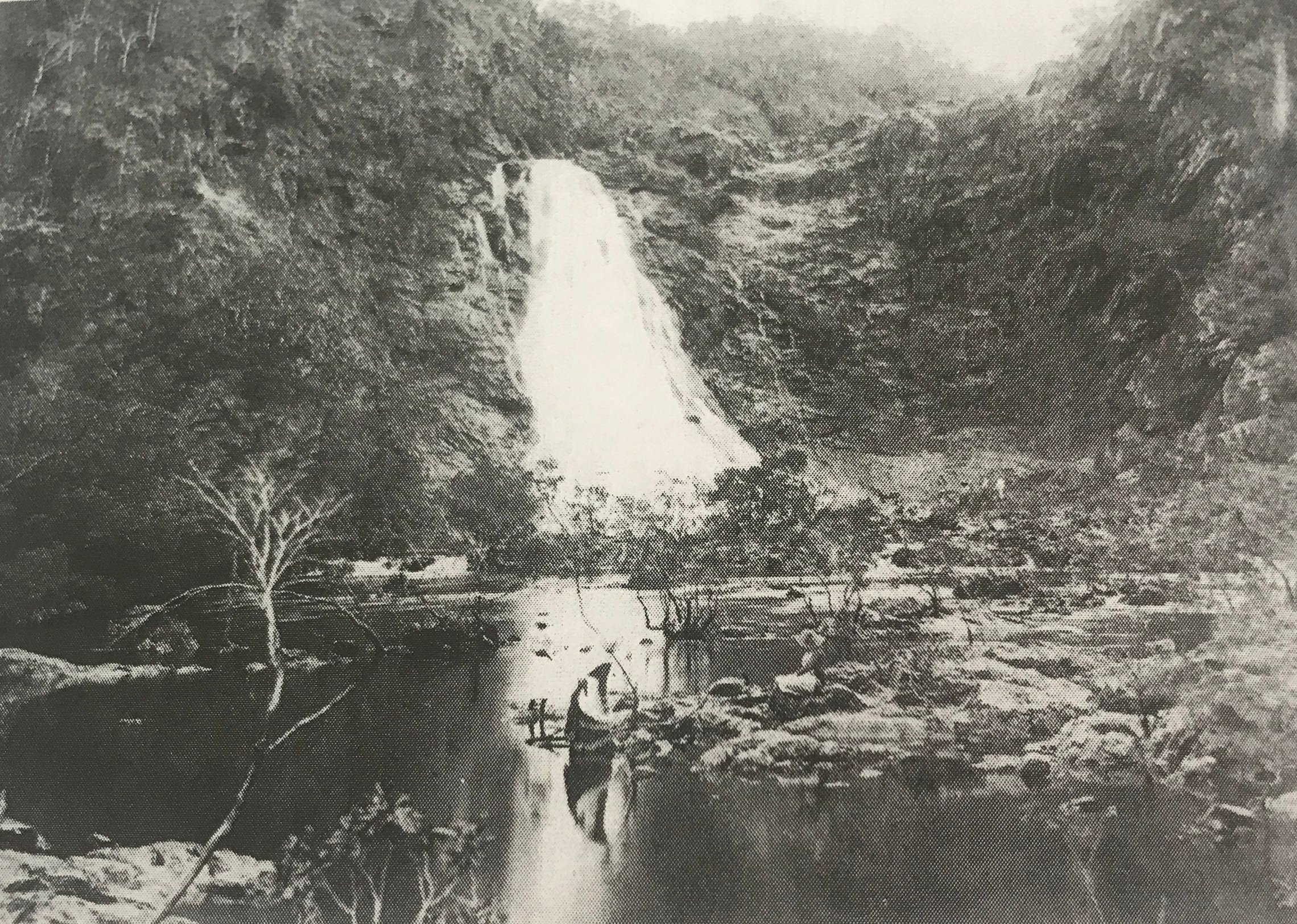 Bloomfield | Wujal Wujal — Douglas Shire Historical Society