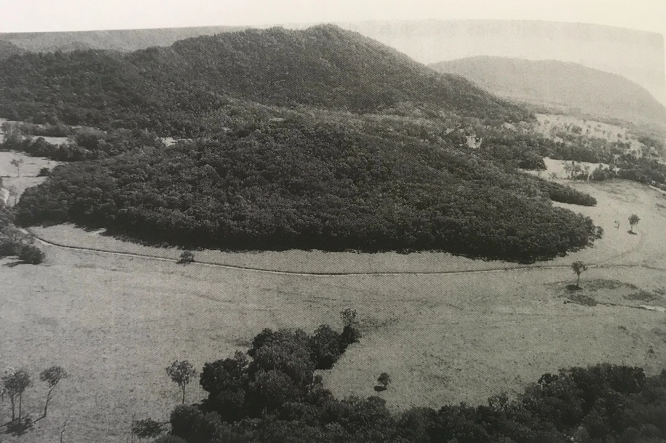 Bloomfield | Wujal Wujal — Douglas Shire Historical Society
