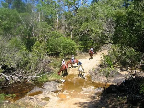 BUMP TRACK — Douglas Shire Historical Society