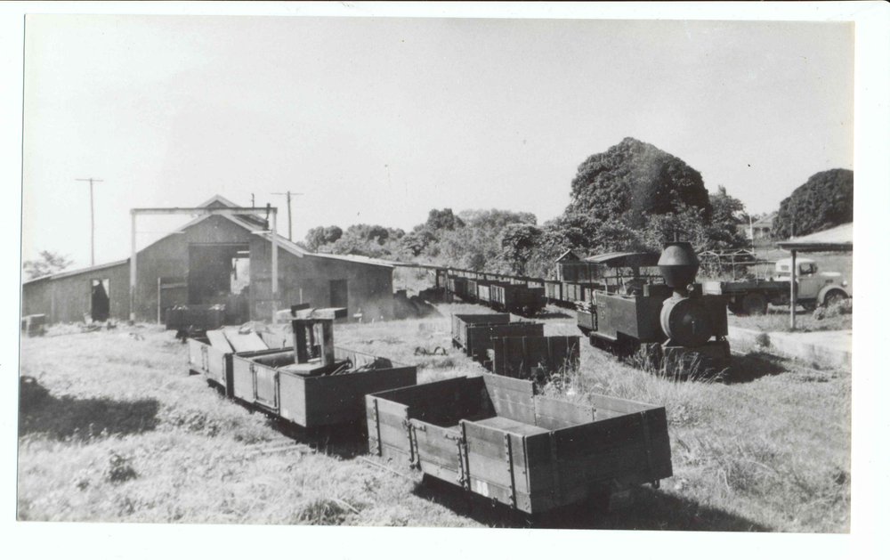 EARLY DAYS OF SUGAR INDUSTRY — Douglas Shire Historical Society