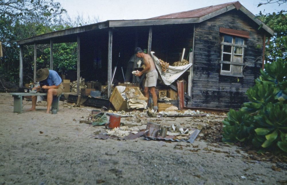 Low Isles — Douglas Shire Historical Society