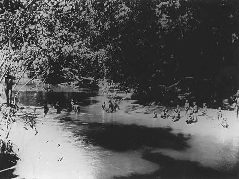 Bloomfield | Wujal Wujal — Douglas Shire Historical Society