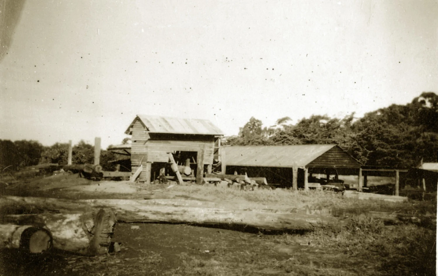 Cape Tribulation — Douglas Shire Historical Society