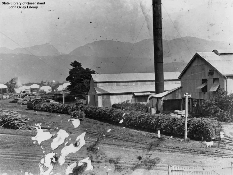 EARLY DAYS OF SUGAR INDUSTRY — Douglas Shire Historical Society