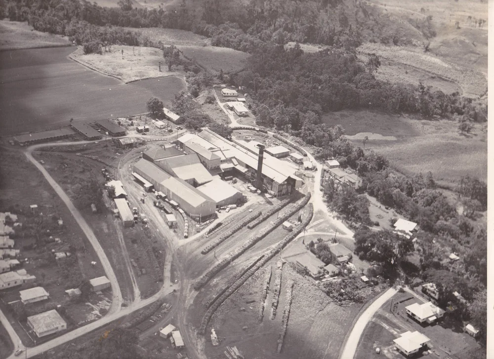 Douglas Shire Historical Society