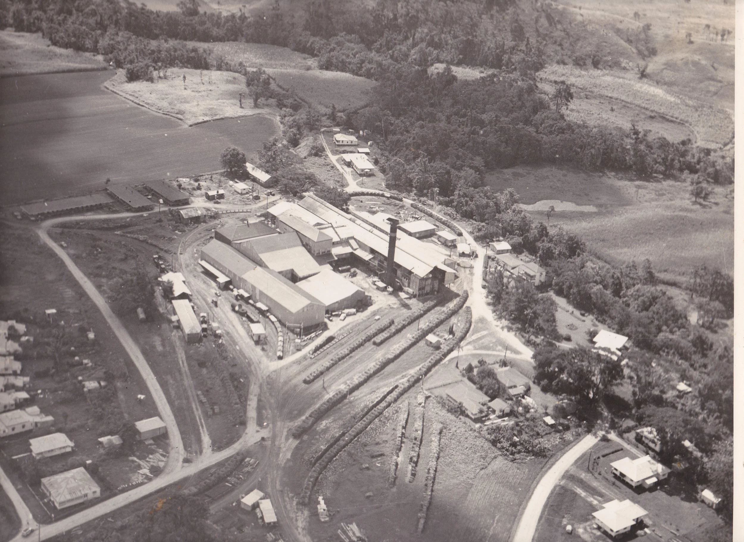 Douglas Shire Historical Society