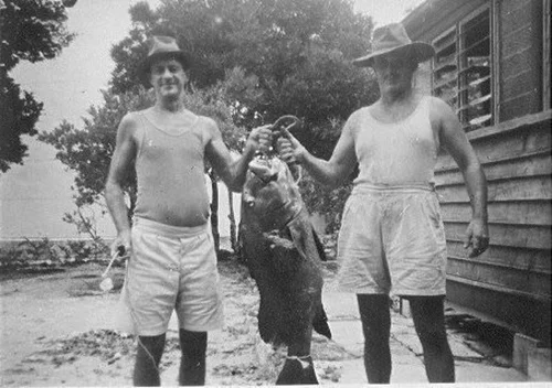 Low Isles — Douglas Shire Historical Society