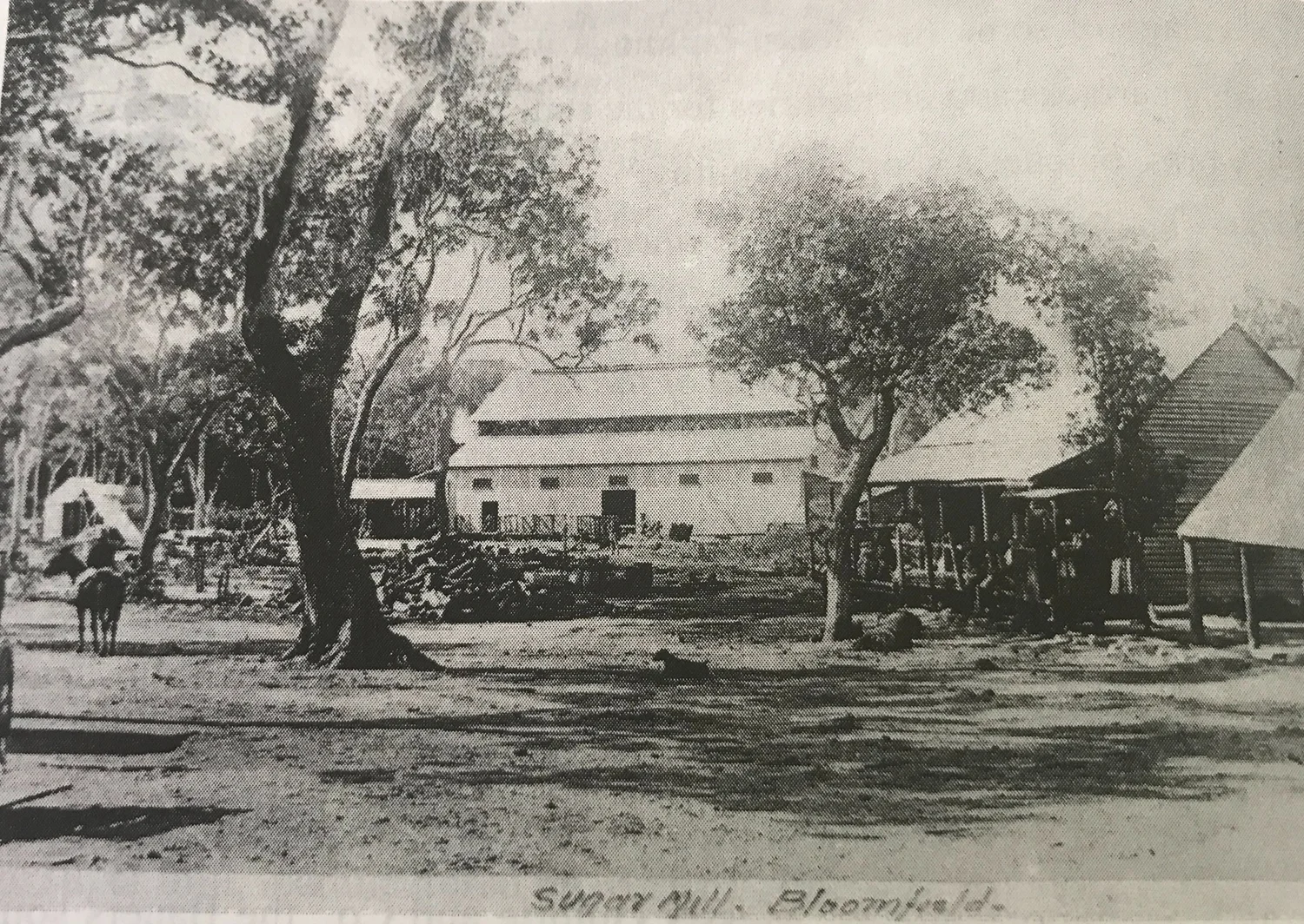Bloomfield | Wujal Wujal — Douglas Shire Historical Society