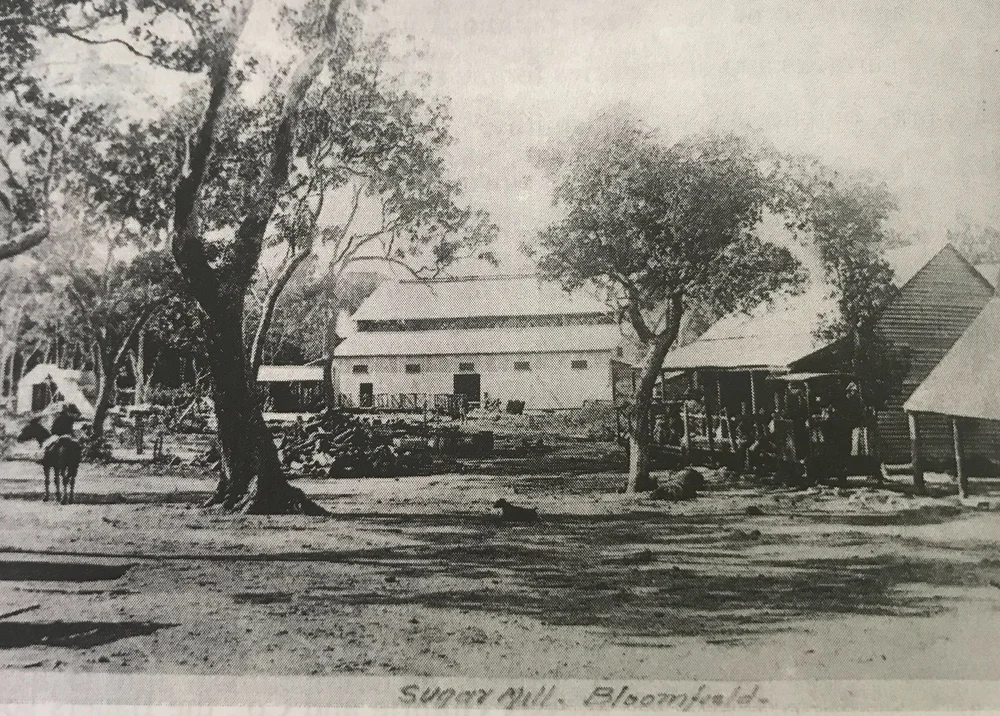 Bloomfield | Wujal Wujal — Douglas Shire Historical Society