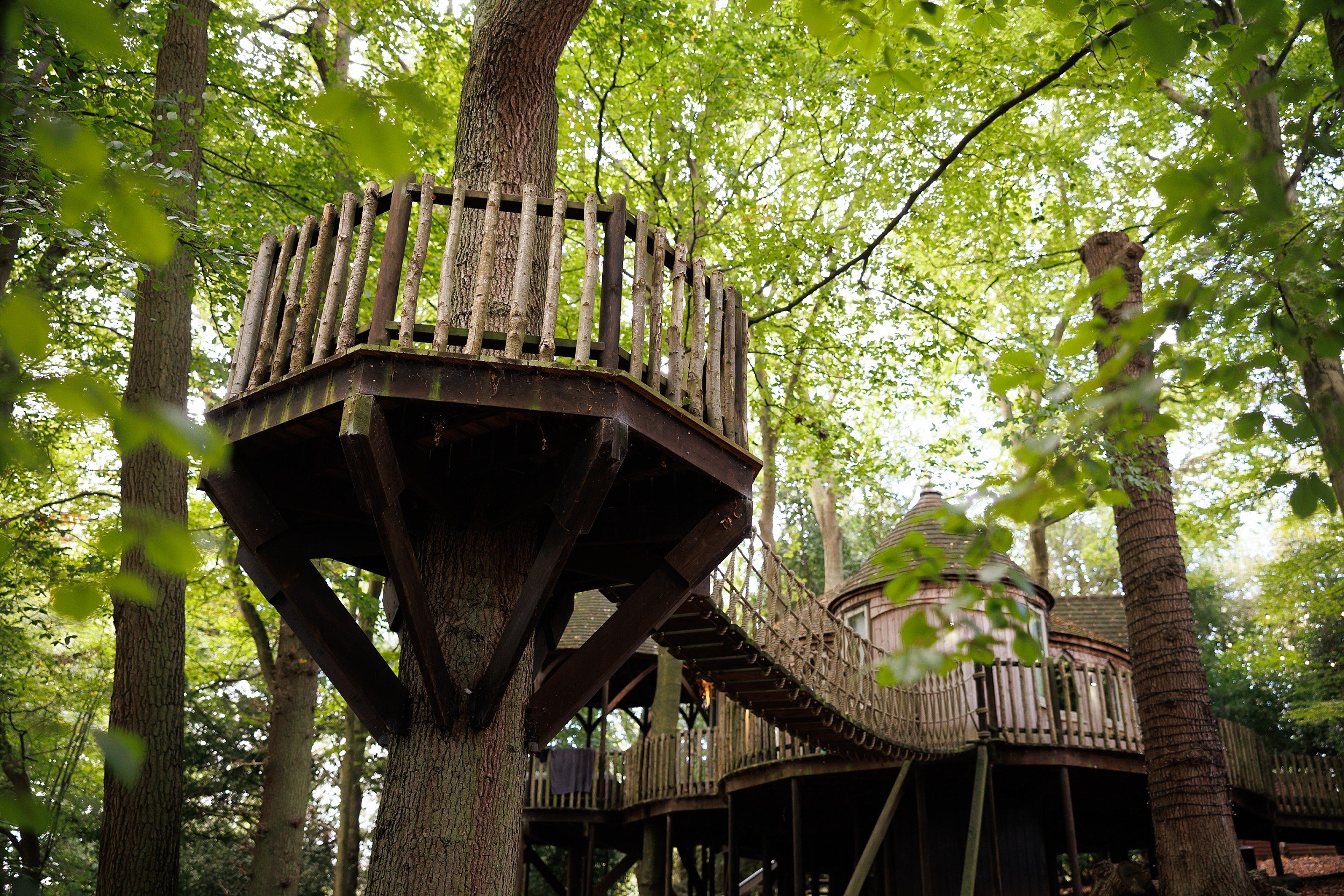 Photos for Narnia Treehouse, Oxford — RICHARD WAKEFIELD