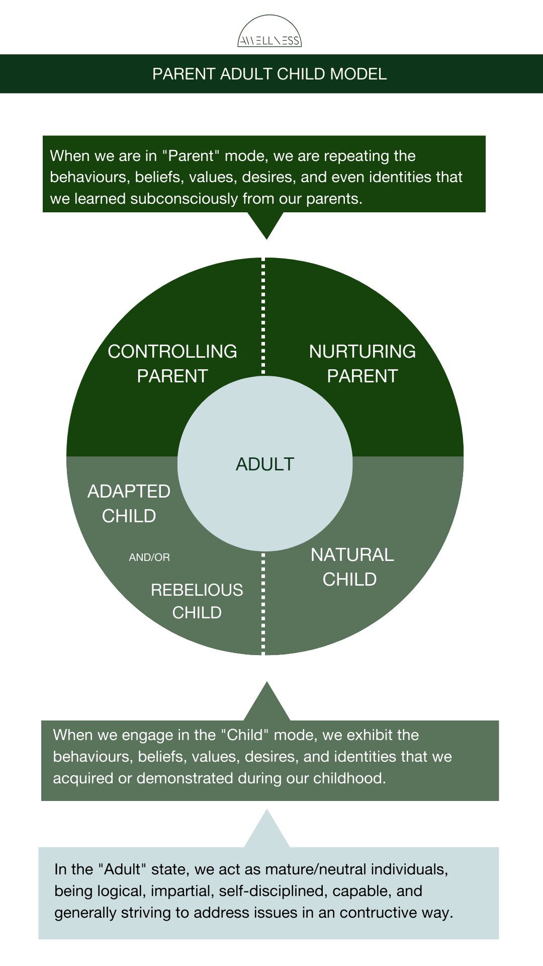 The PAC Model: The Best Tool to Uncover Patterns and Behaviours Holding ...