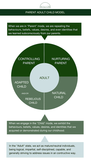 The PAC Model: The Best Tool to Uncover Patterns and Behaviours Holding ...