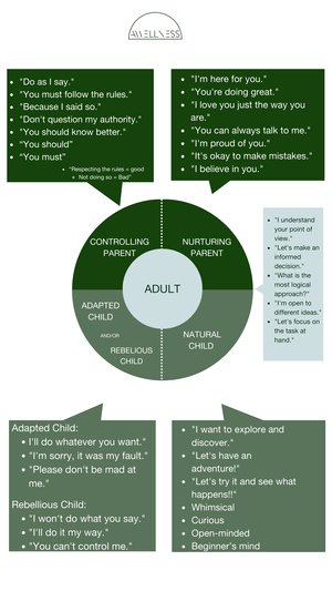 The PAC Model: The Best Tool to Uncover Patterns and Behaviours Holding ...
