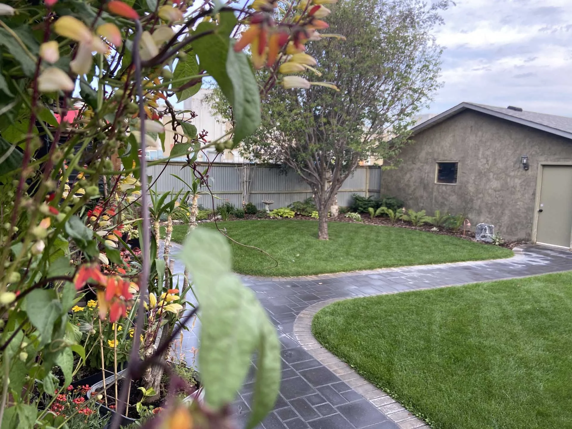 Thrive Landscape Design