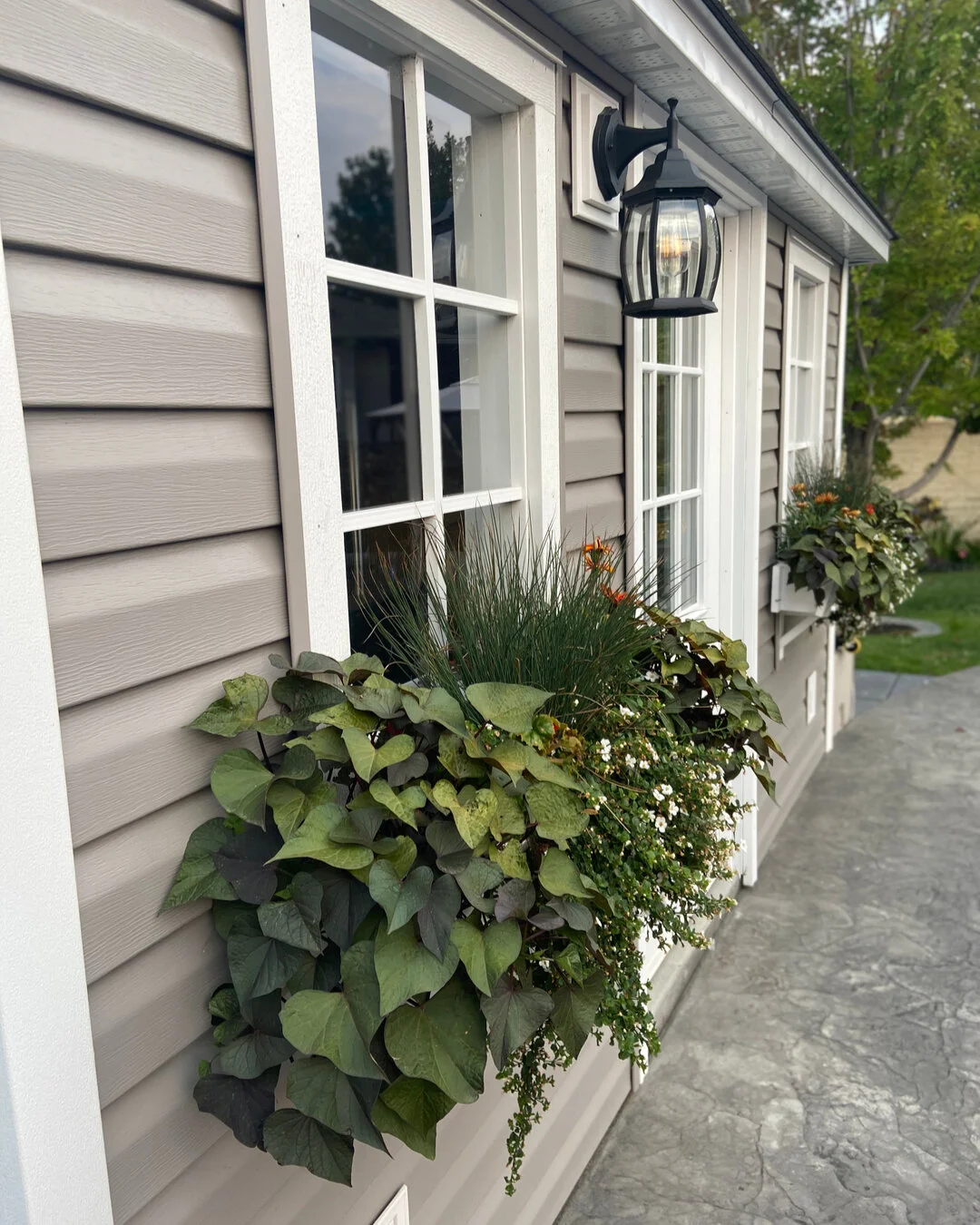 Thrive Landscape Design