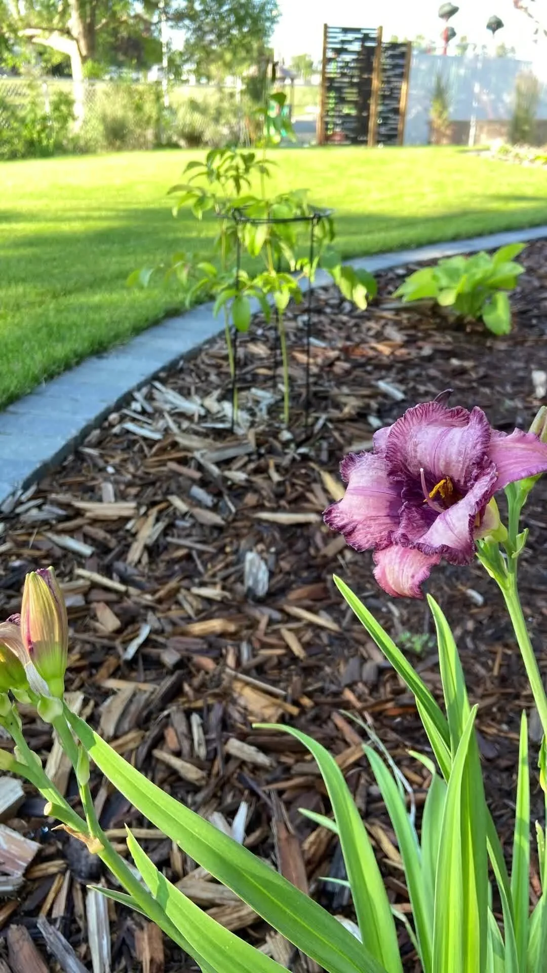 Projects — Thrive Landscape Design