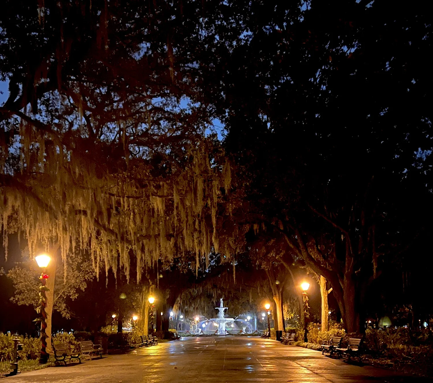 Forsyth Park Savannah: History, Things to Do & Tips | Be Our Gaston ...