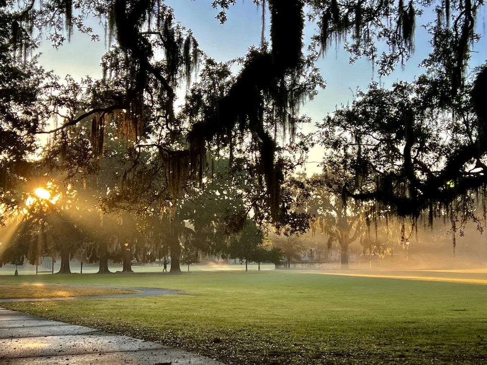 Forsyth Park Savannah: History, Things to Do & Tips | Be Our Gaston ...