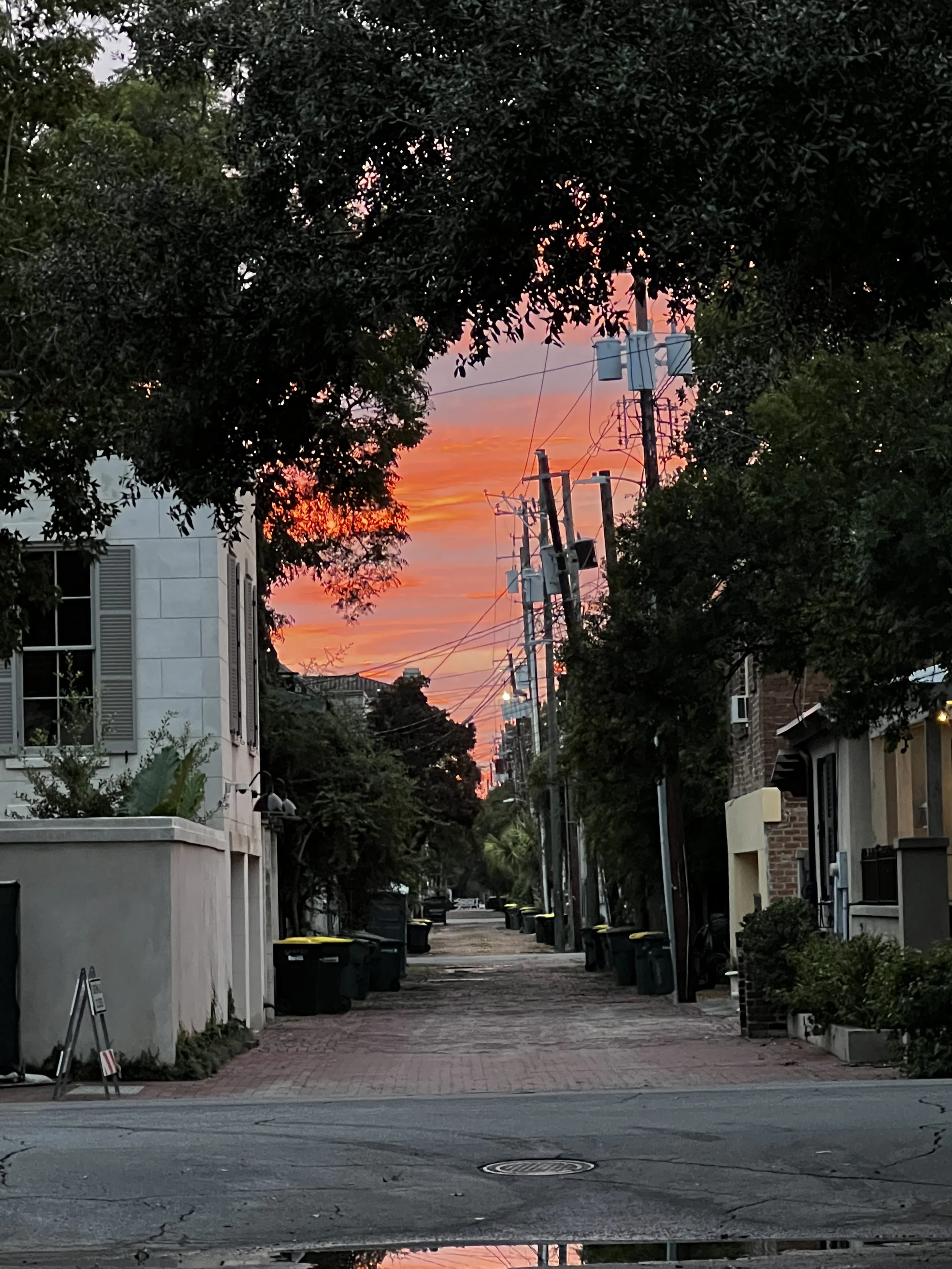 Best Time to Visit Savannah | Seasonal Travel Tips from Local Hosts ...