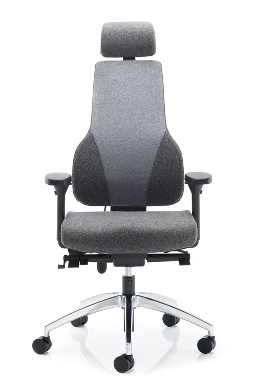 Apex Posture Office Chair — Desk City