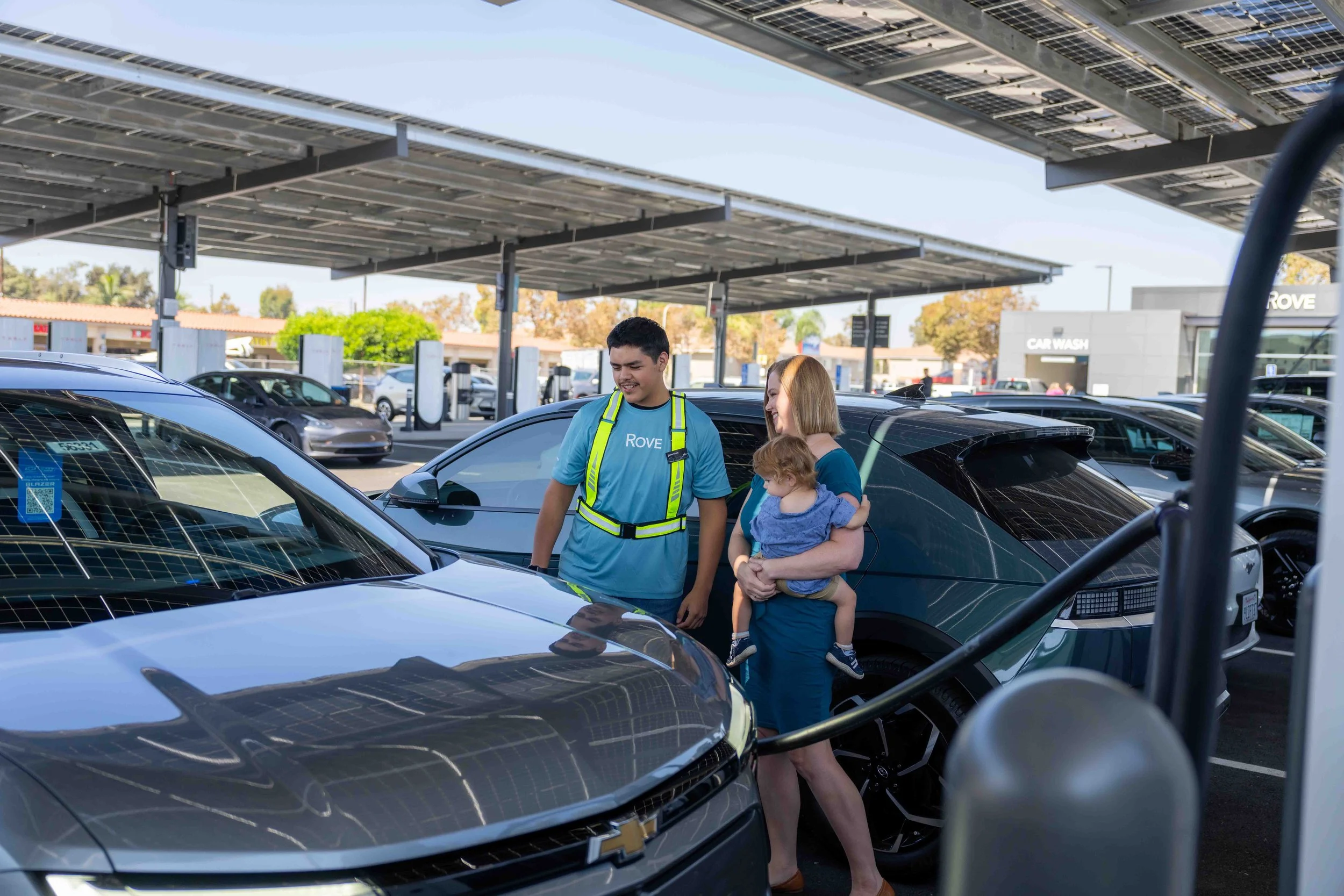 Rove - What To Expect