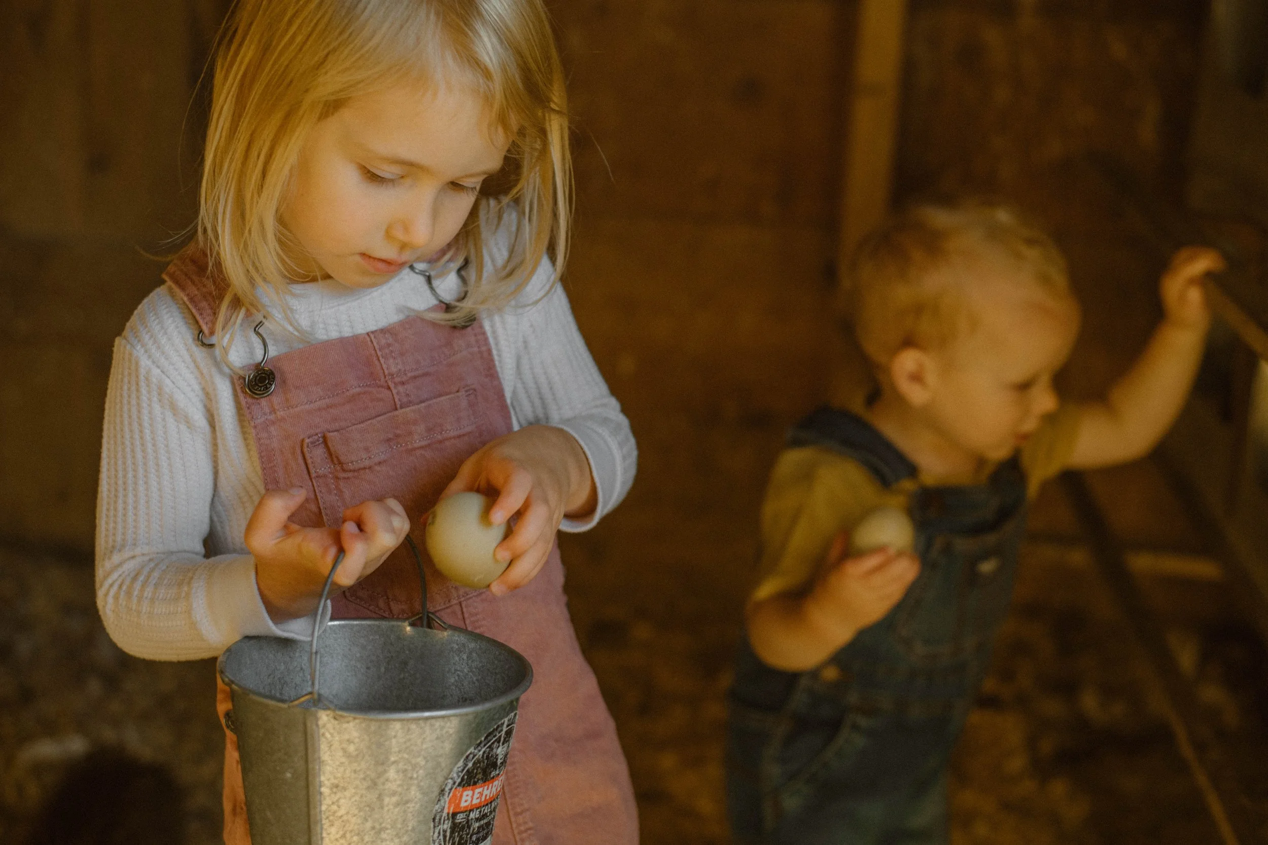 Feathered Acres Learning Farm & Inn