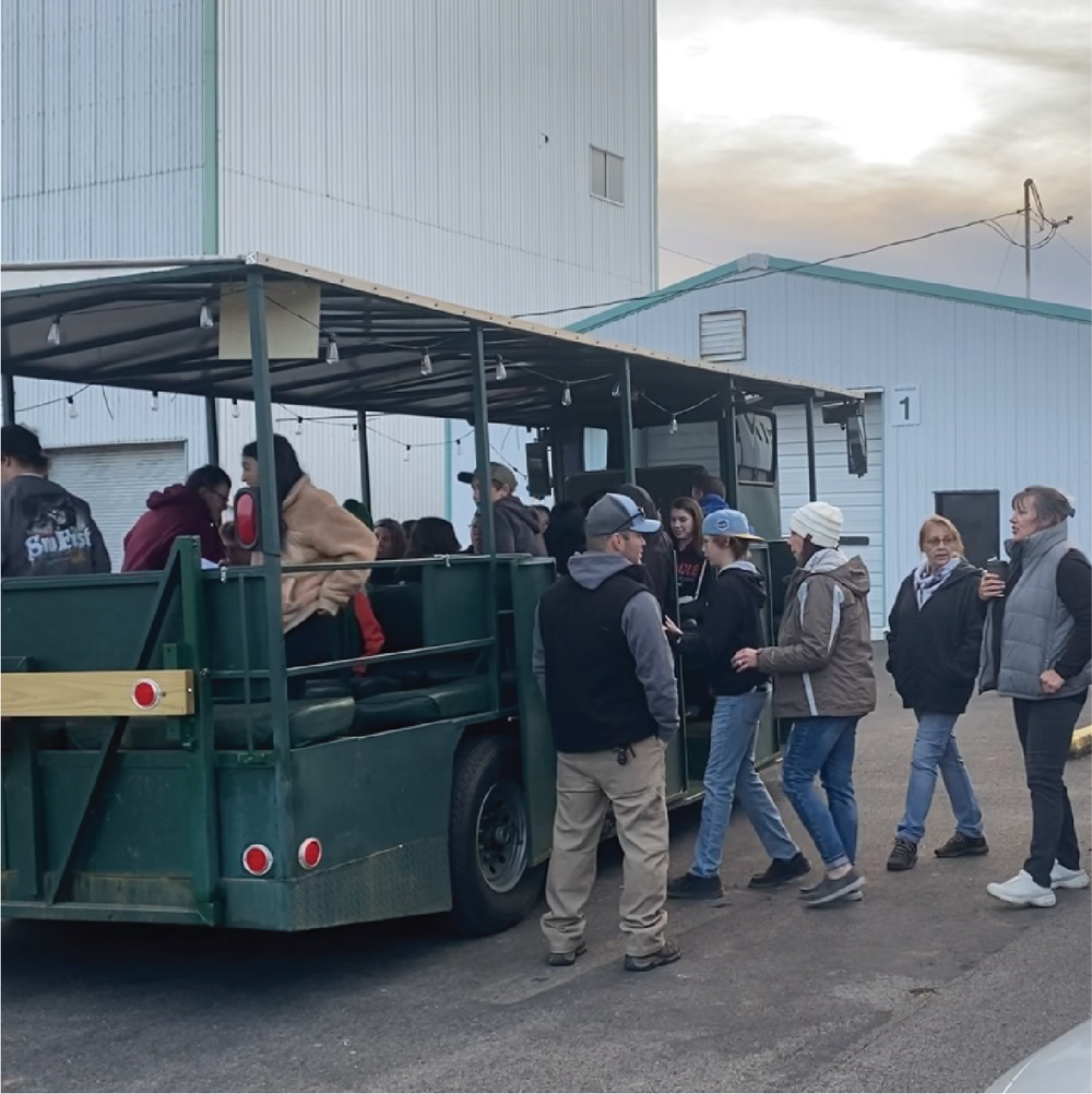 Corn Maze — Pine Creek Seed Farm