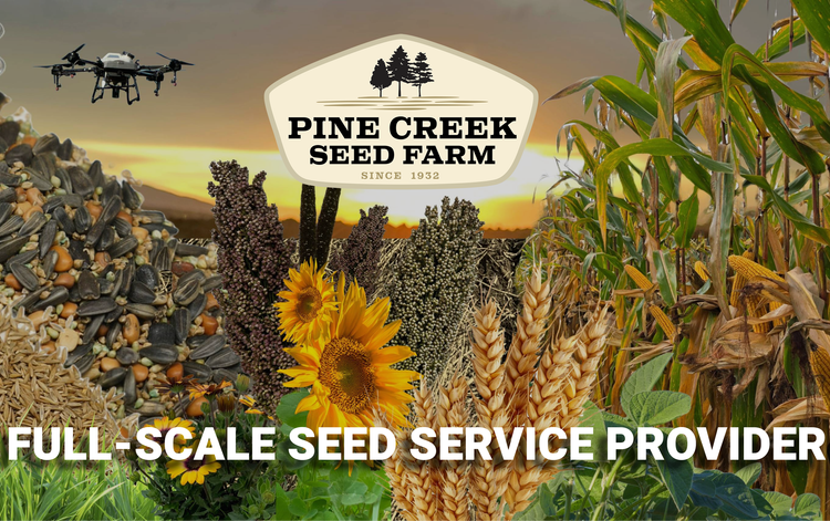 Pine Creek Seed Farm