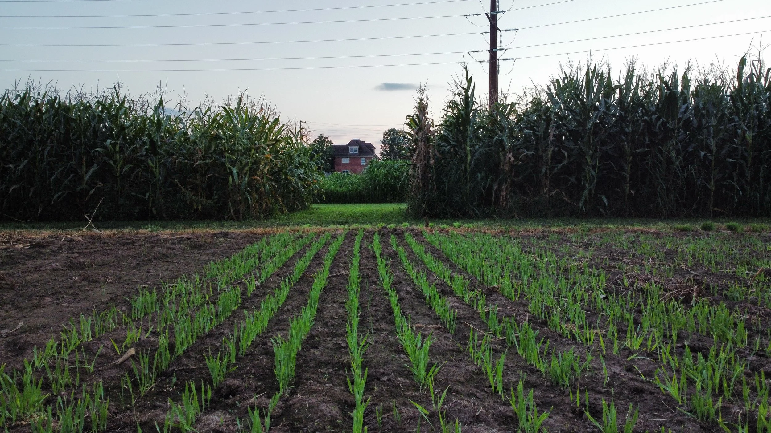 About — Pine Creek Seed Farm