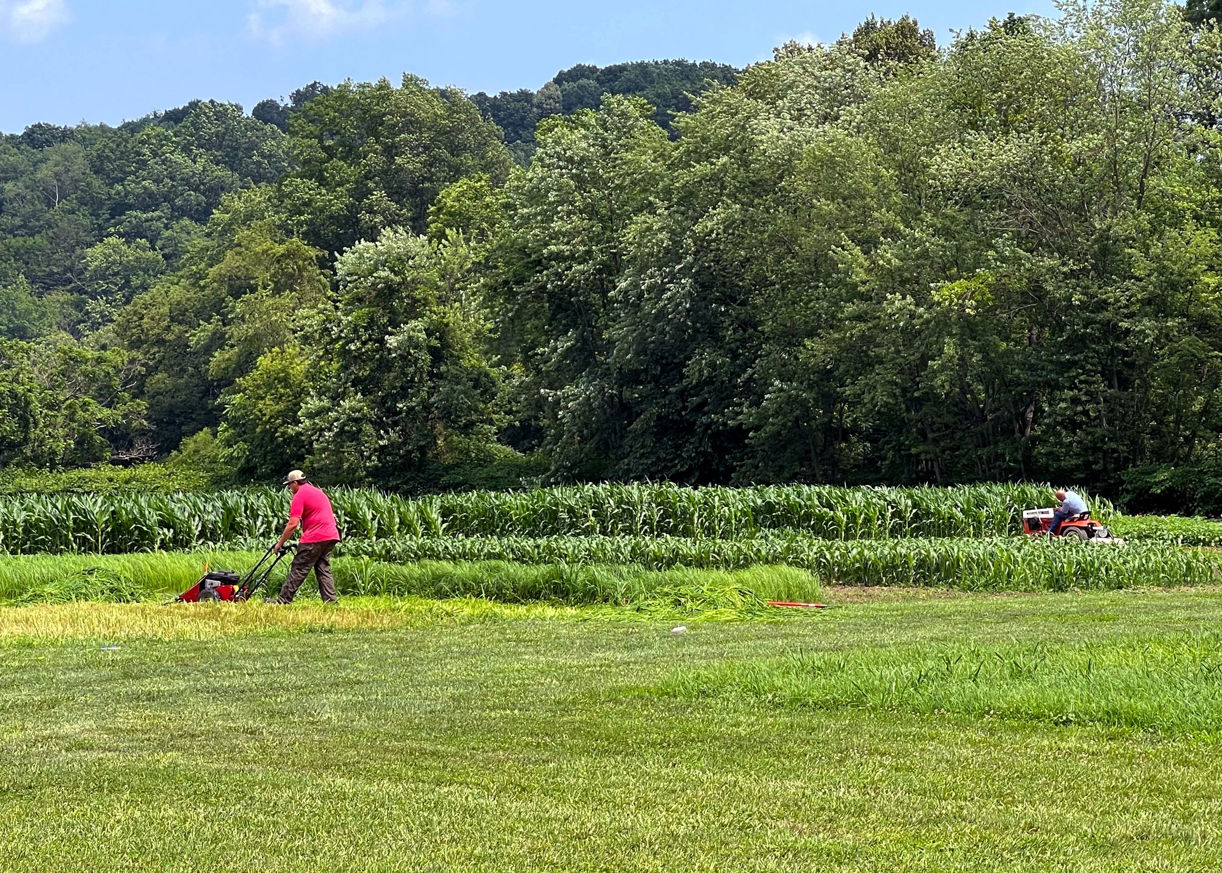 Pine Creek Seed Farm