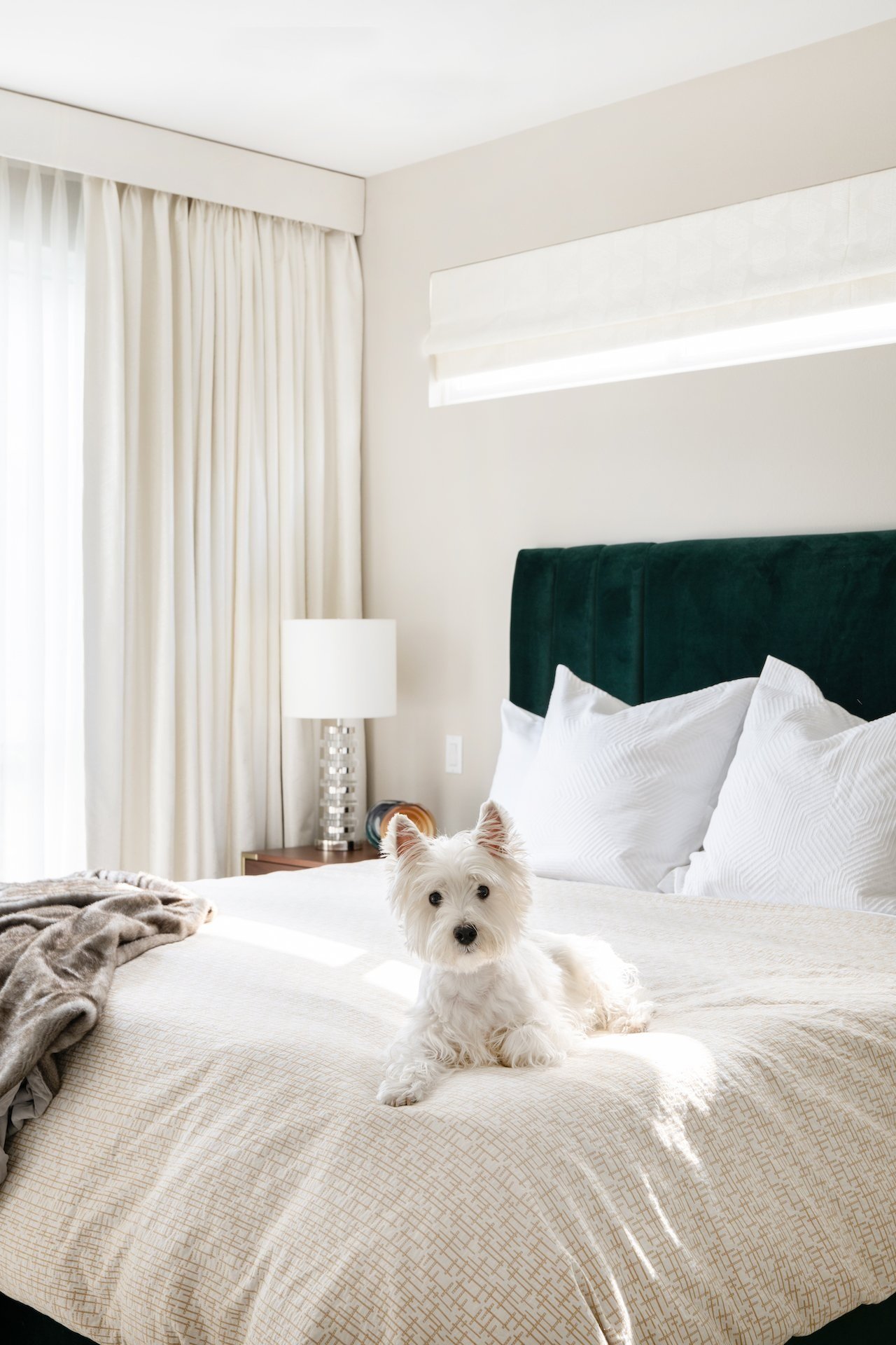 Portfolio — Julia Adele Design