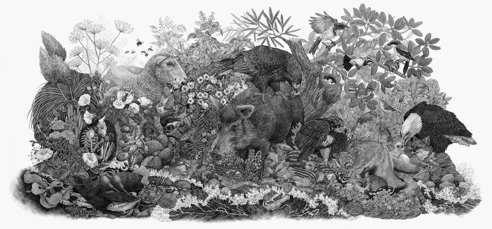 Zoe Keller | Professional Nature Art & Scientific Illustration