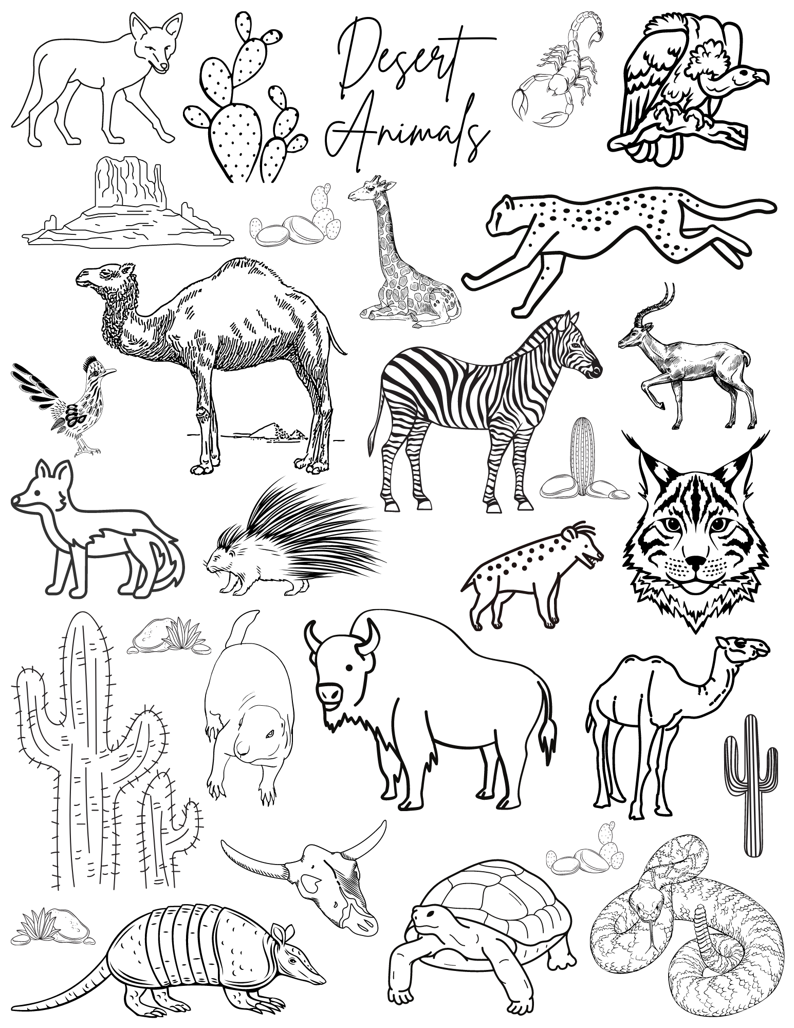 Desert Animal Coloring Pages