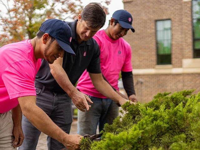 Lawncare Services — Acre Group New Website