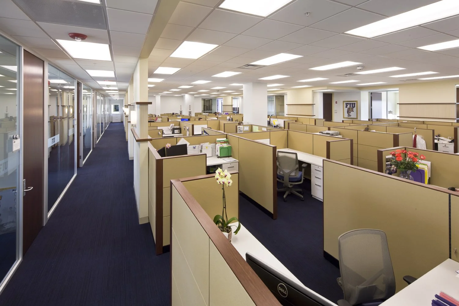 Florida International University Foundation Headquarters — MCHarry ...