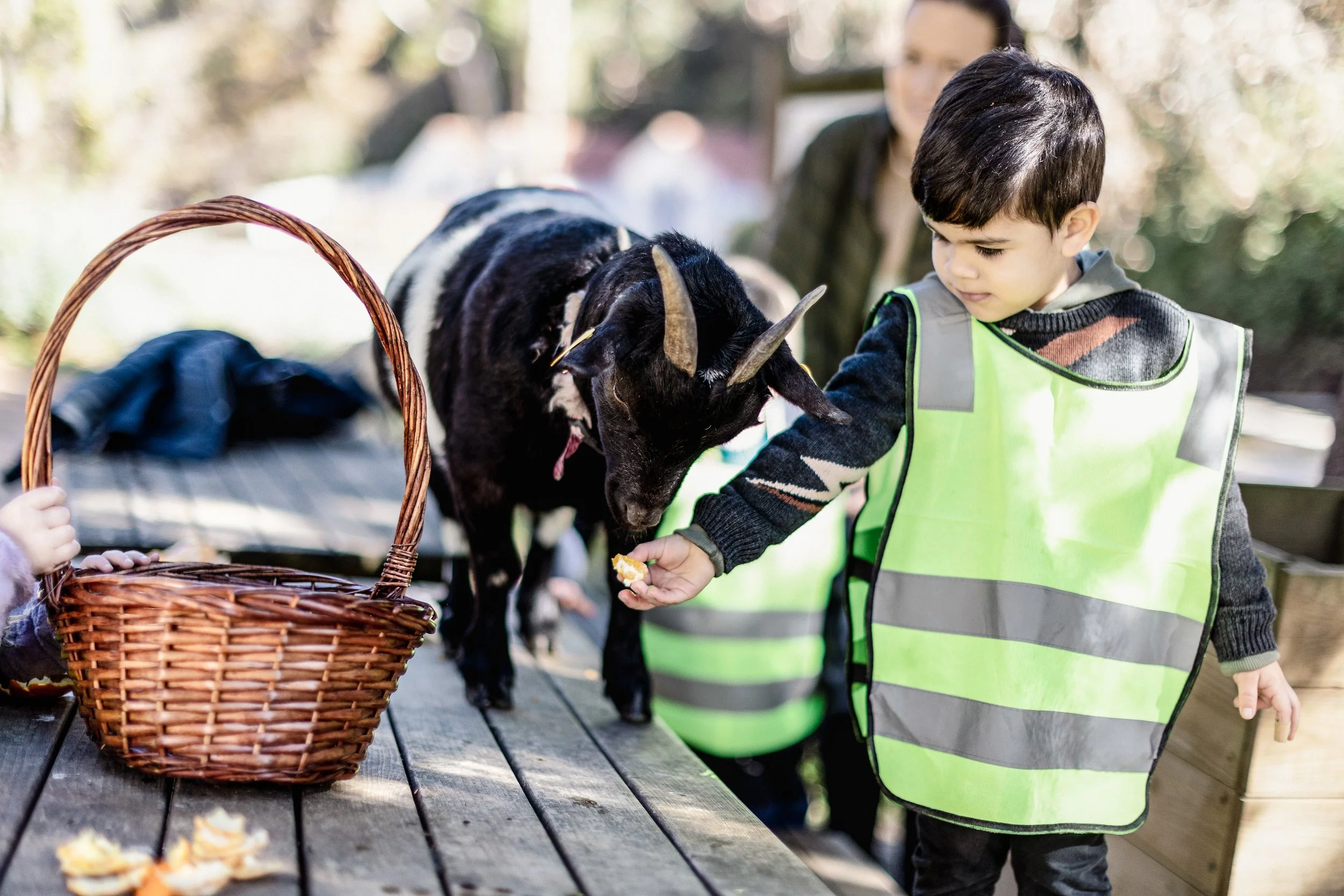 Boundless Education — Boundless Life