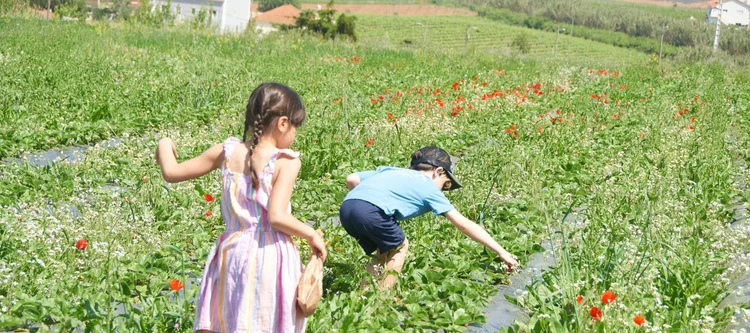 Boundless Education — Boundless Life