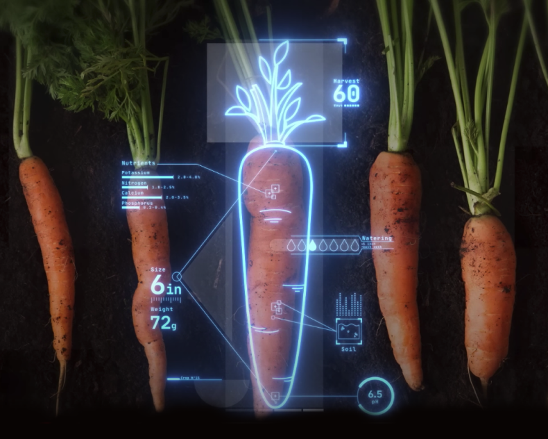 Verdant Robotics
