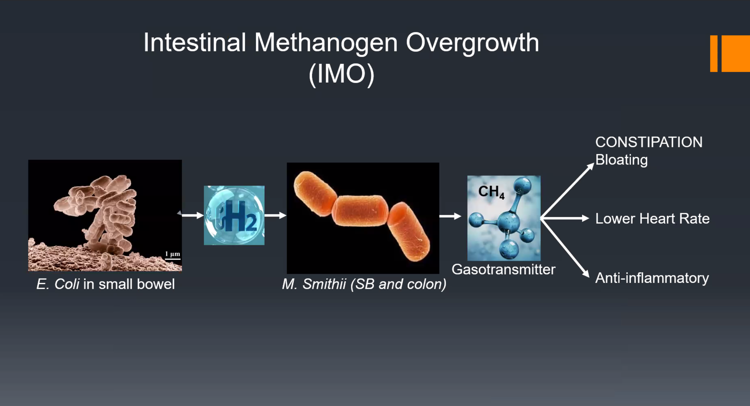 Irritable Bowel Syndrome with constipation and Methane Dominance — FAIM