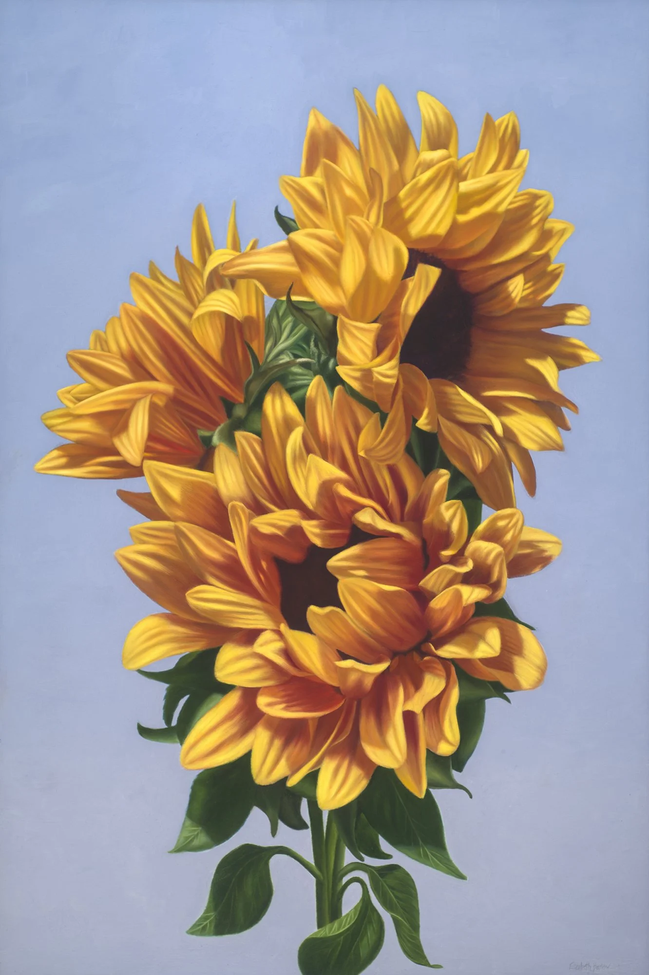 Flora Paintings by Elizabeth Barlow