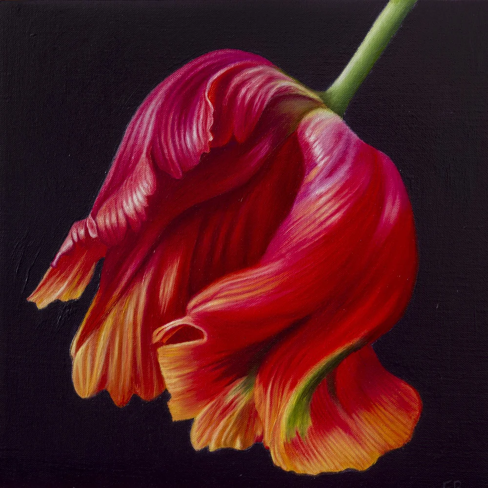 Available Works - Elizabeth Barlow