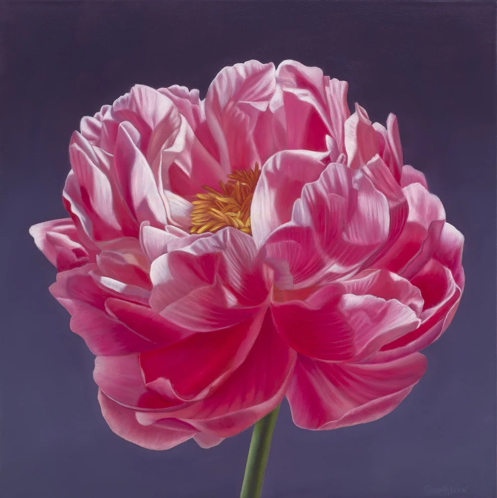 Available Works - Elizabeth Barlow