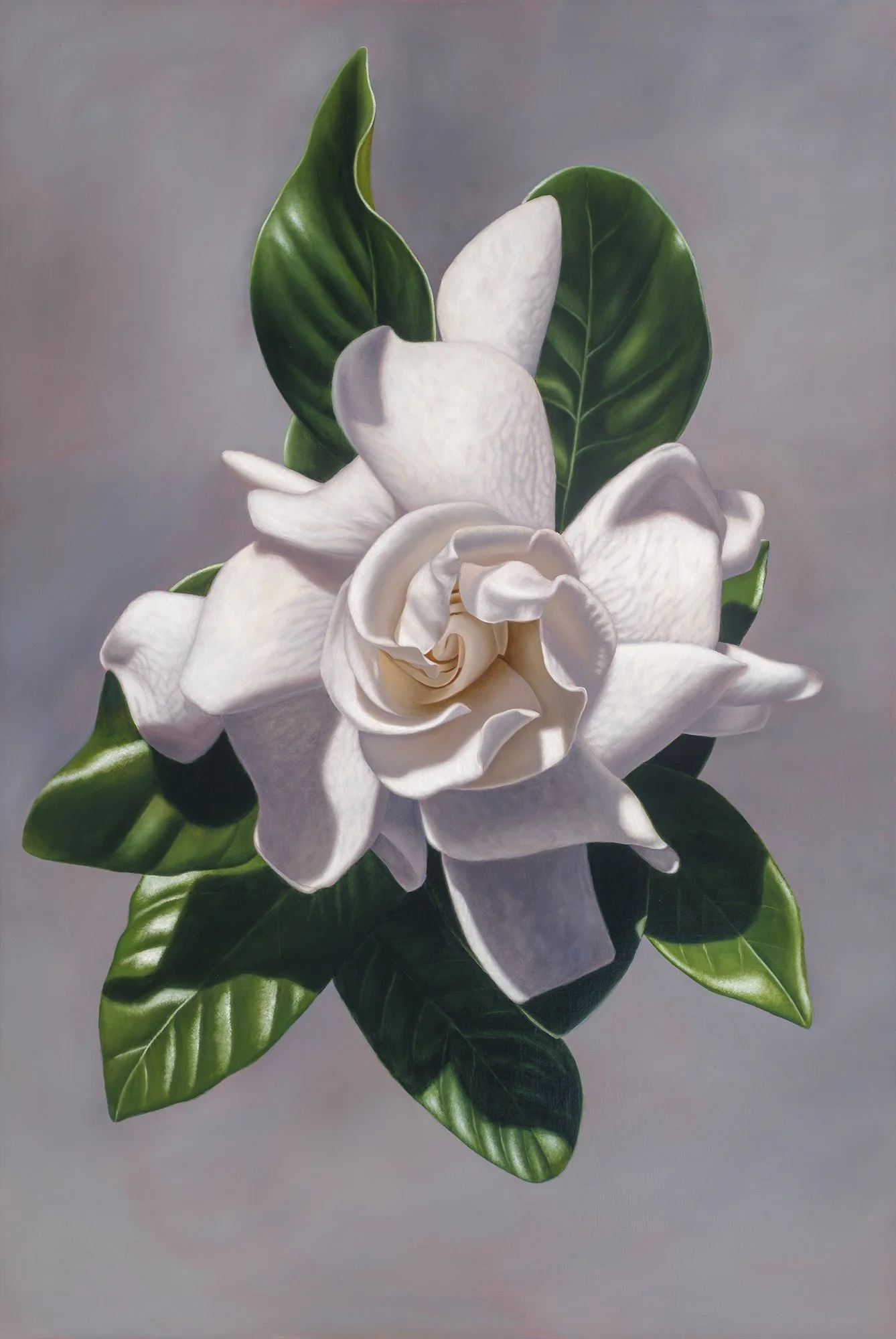 Elizabeth Barlow