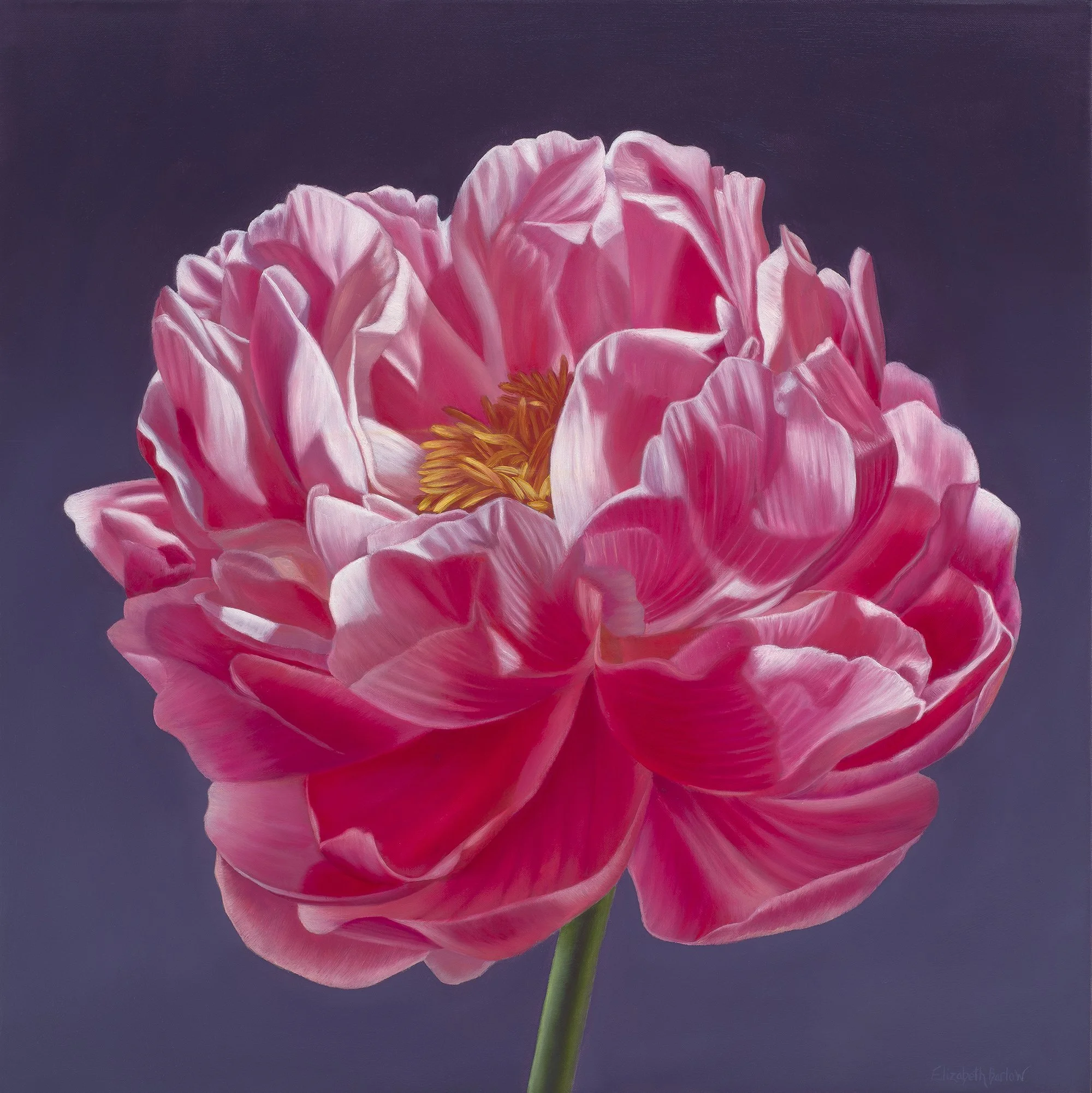 Torch Flora Portrait — Elizabeth Barlow