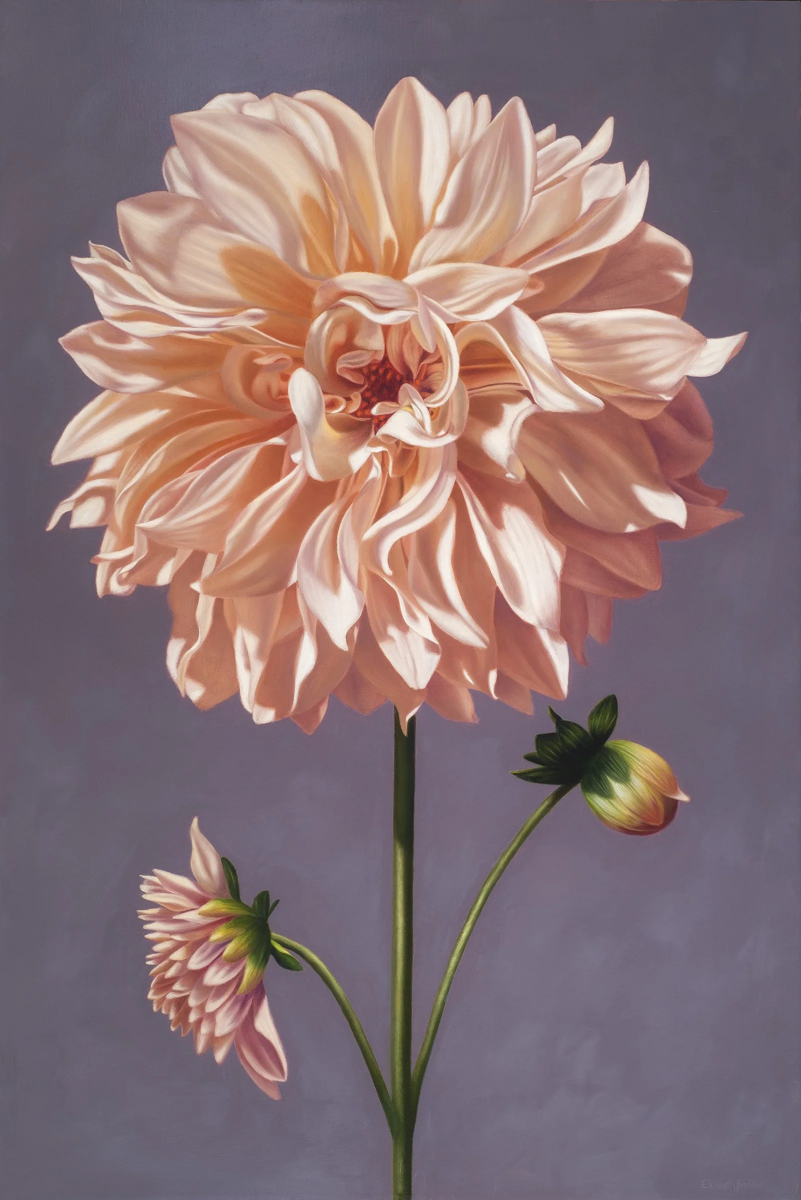 Elizabeth Barlow