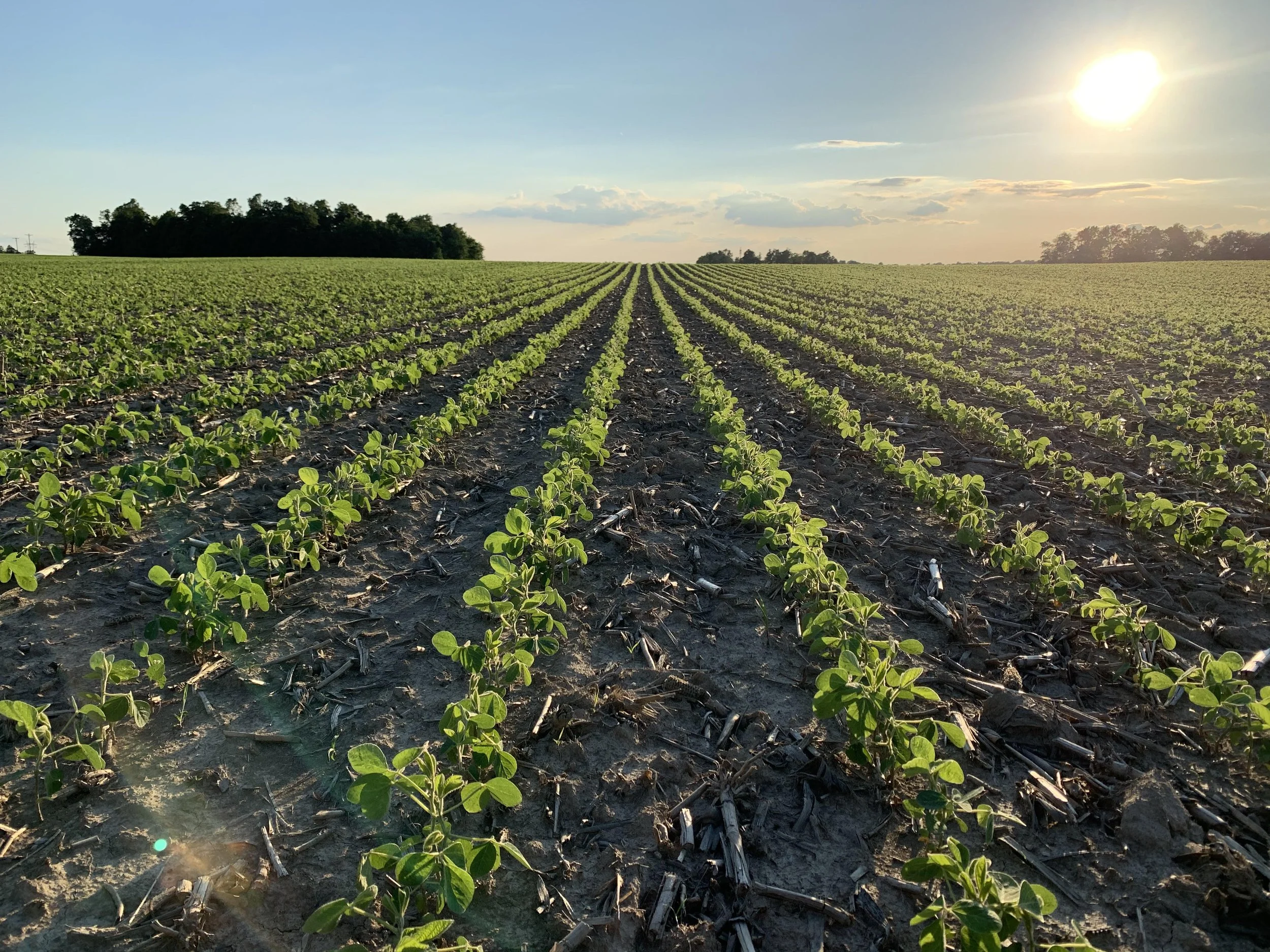 Contact — Mann Farm