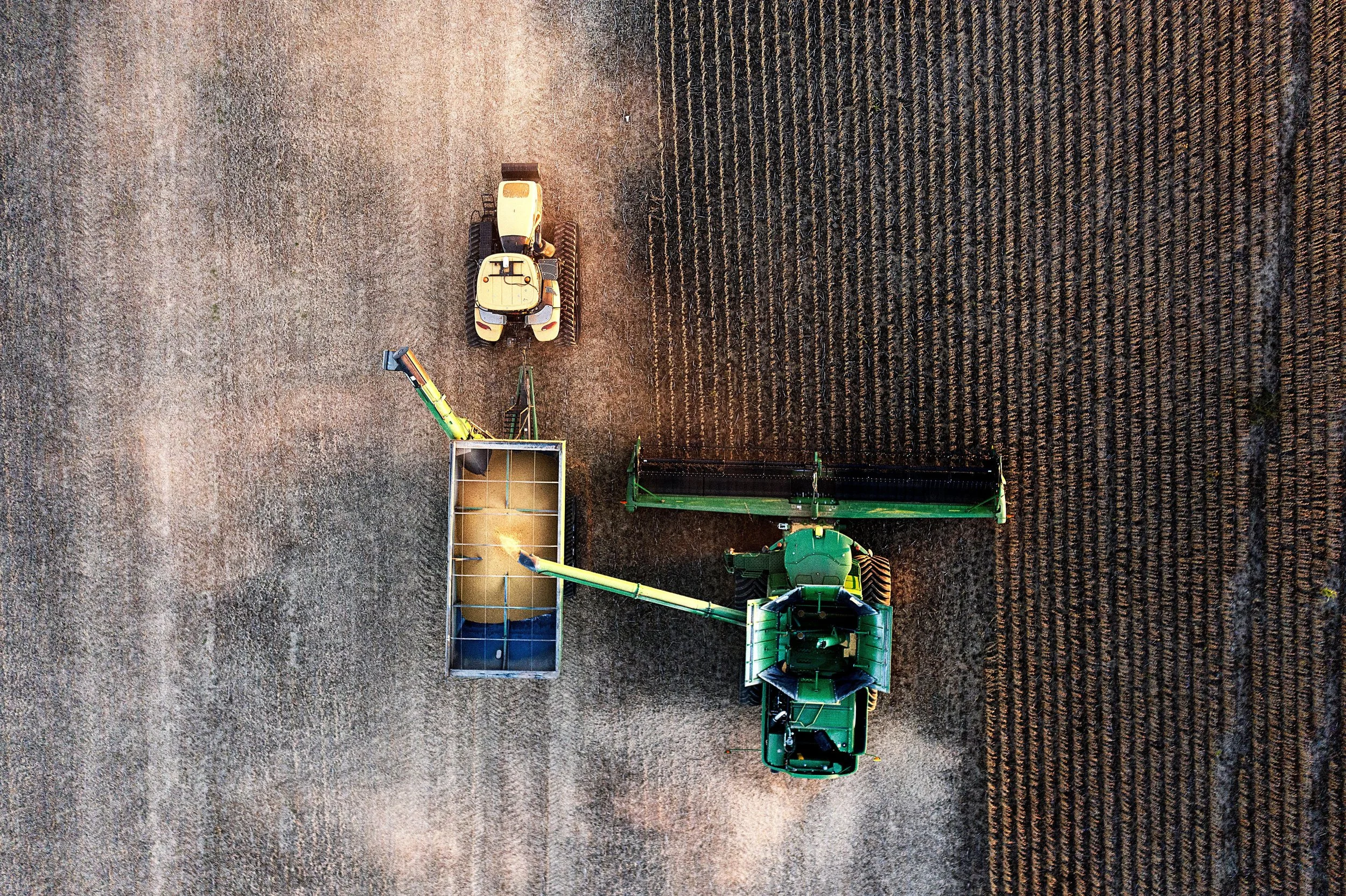 Mann Farm