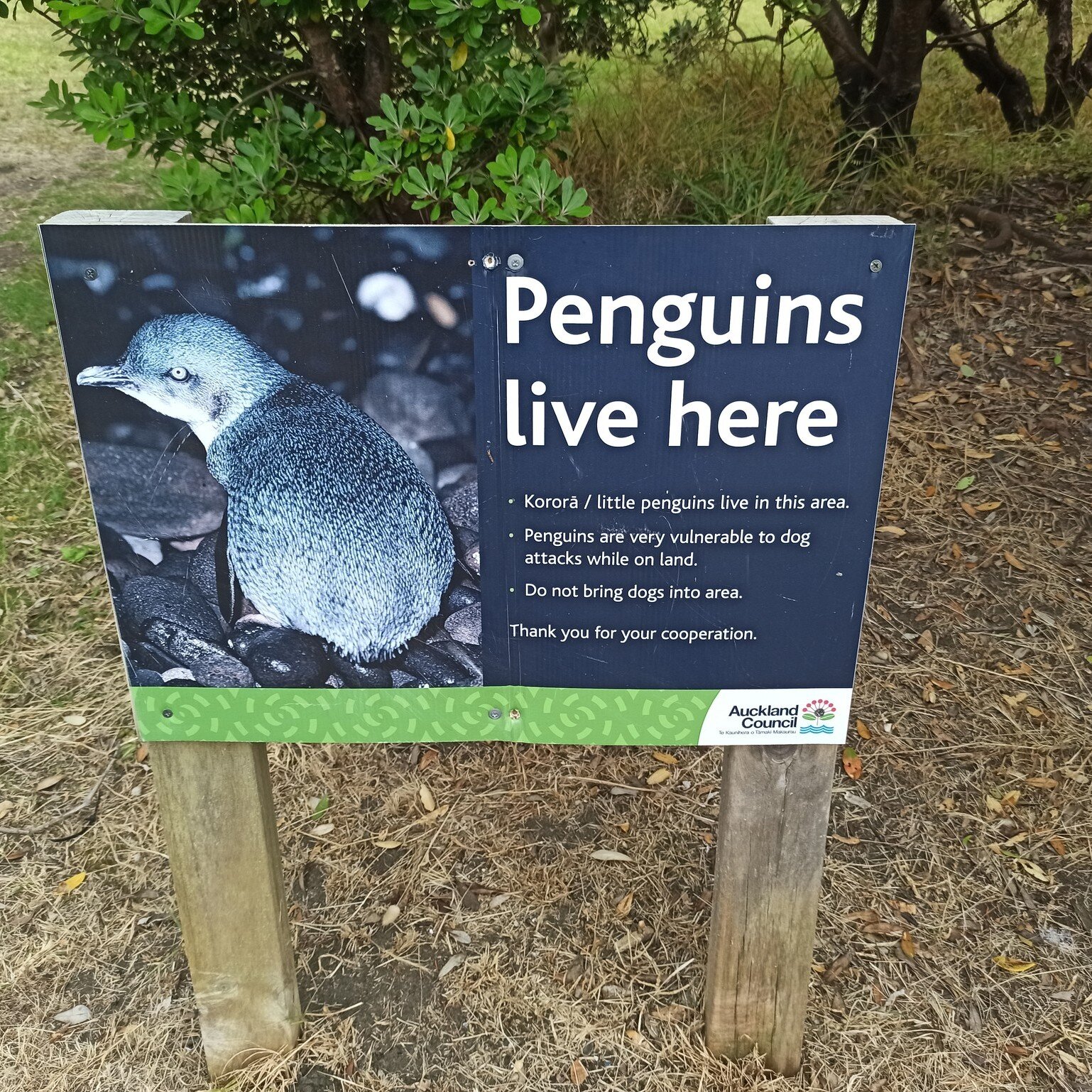 NZ Penguin Initiative - Home