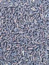 Saving Bupleurum Seed — Artemis Flower Farm