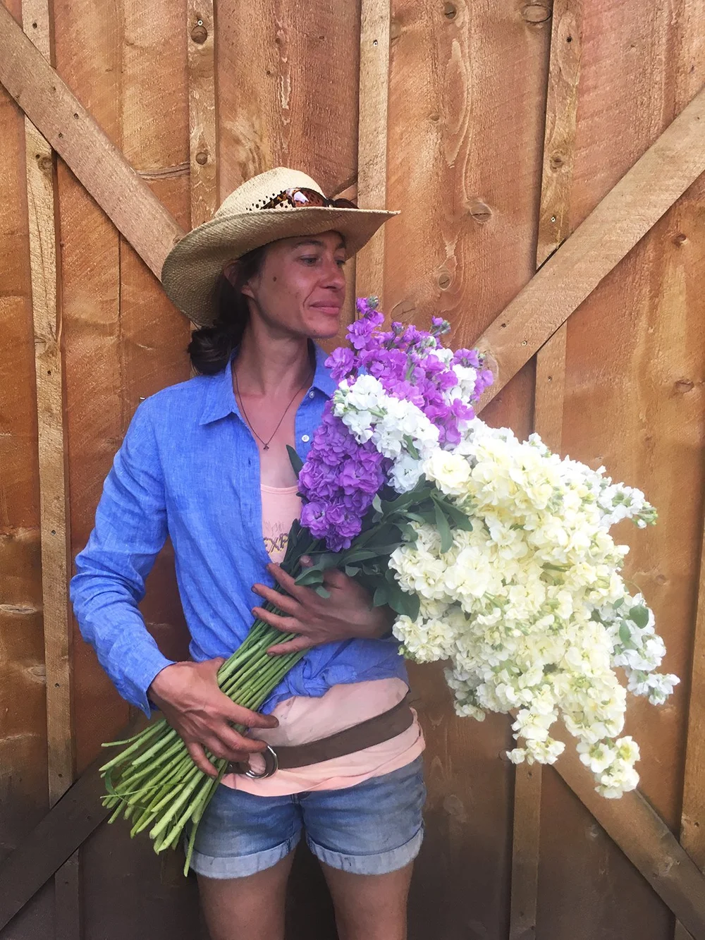 The Best Cut Flower Varieties: Year in Review, Part II — Artemis Flower ...